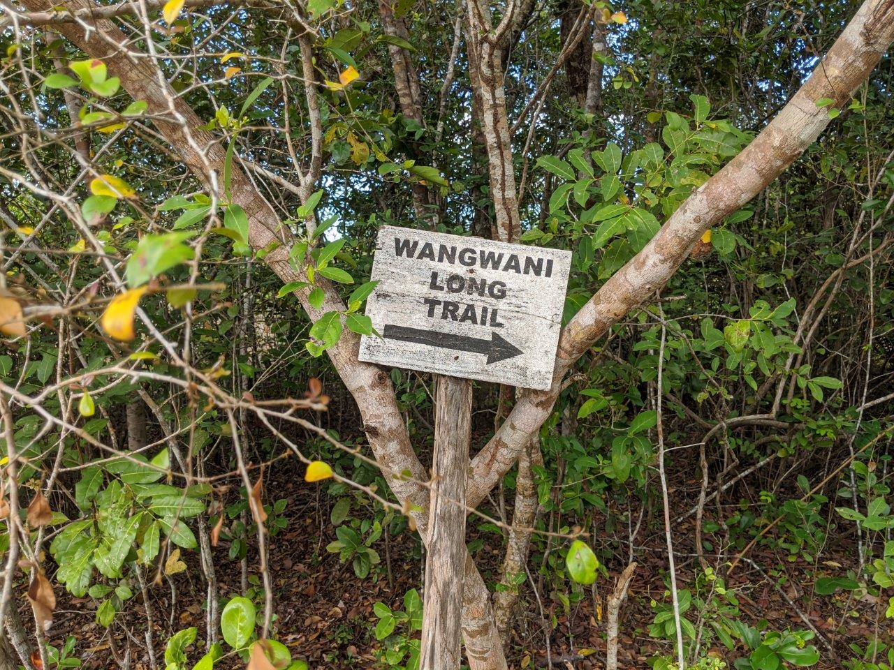 Zanzibar hiking tour - Jozani Forest