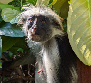 Home [fishermantours.com]